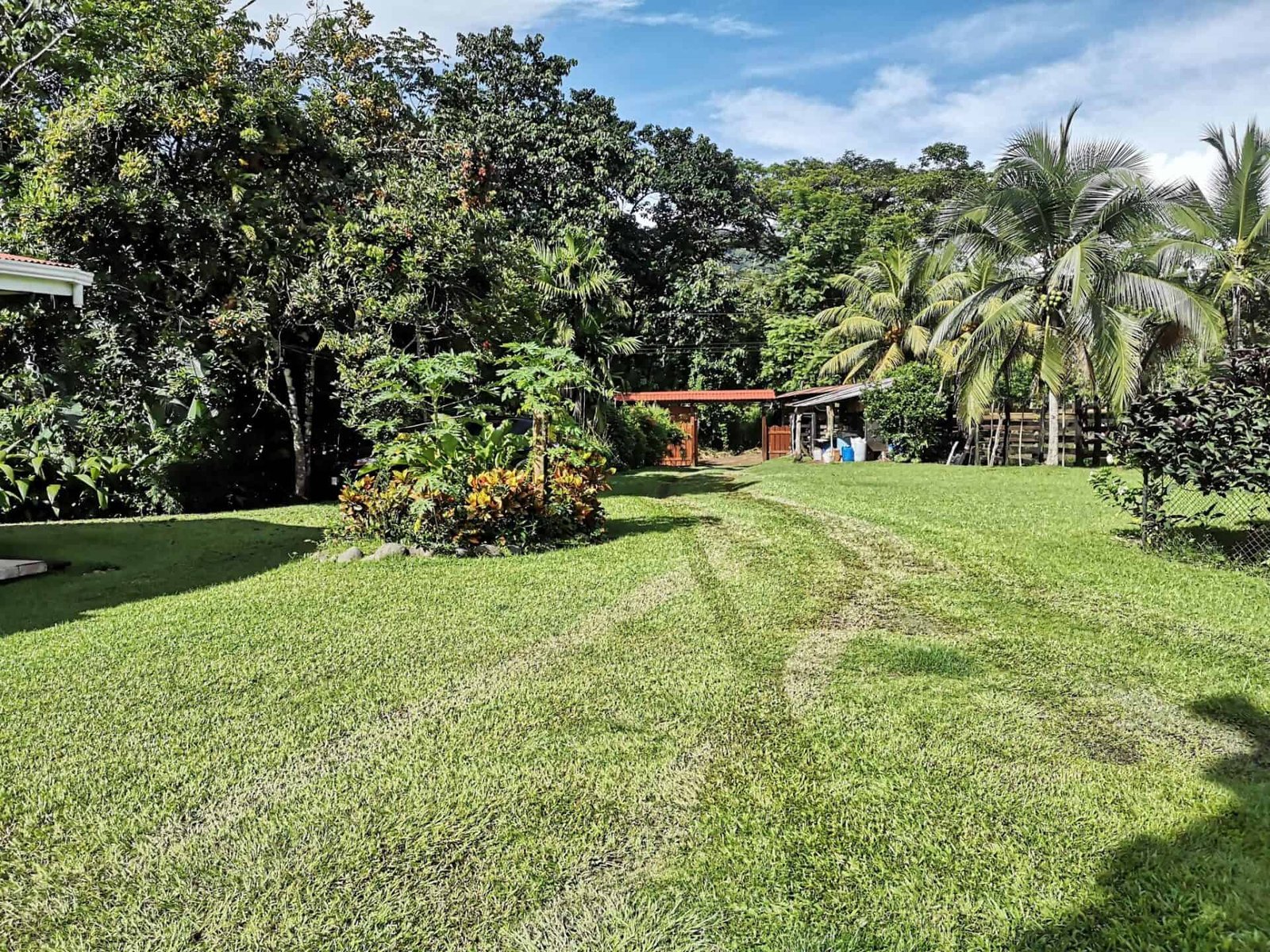 203 ACRES Very Usable Acreage 5 Min From The Beach With Rivers 203 ACRES Very Usable Acreage 5 Min From The Beach With Rivers